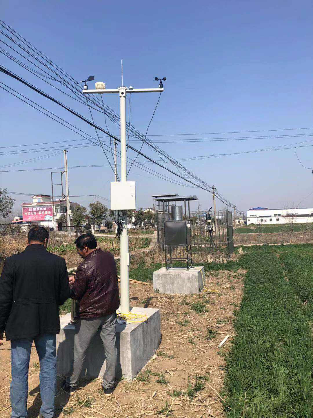南京恒裕公司江苏省稻麦重大病害监测预警项目(分包二)顺利实施中